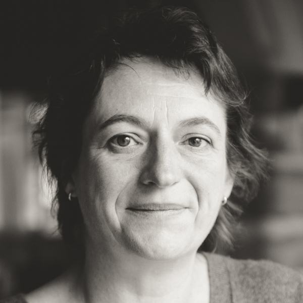 Géraniums vivaces : les 21 meilleures variétés à planter au jardin