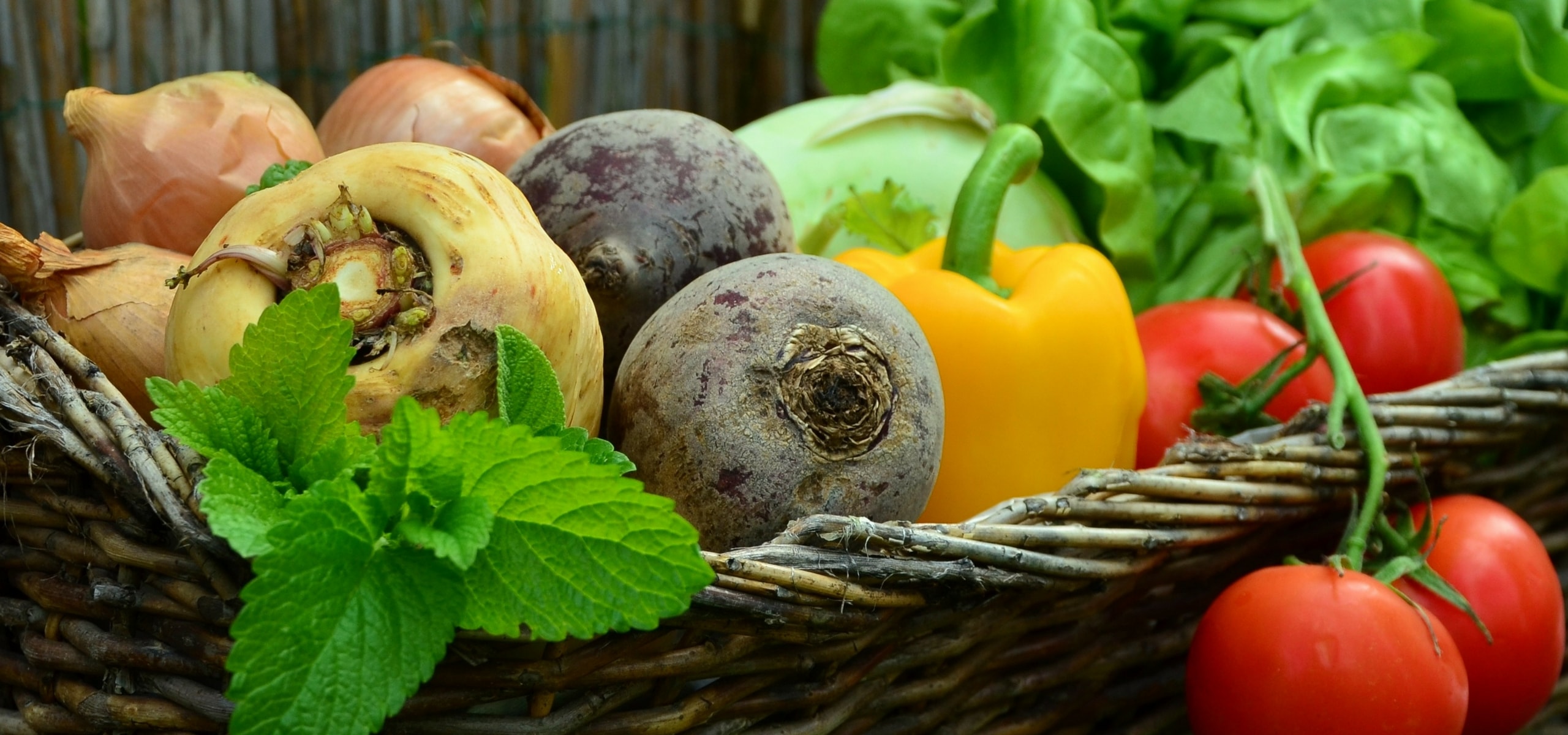 Le potager en carrés