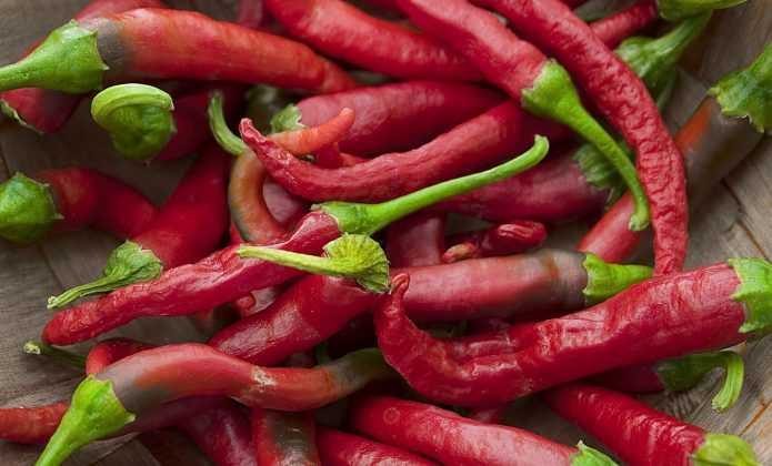 Cultiver des poivrons et des piments en pot - Promesse de Fleurs