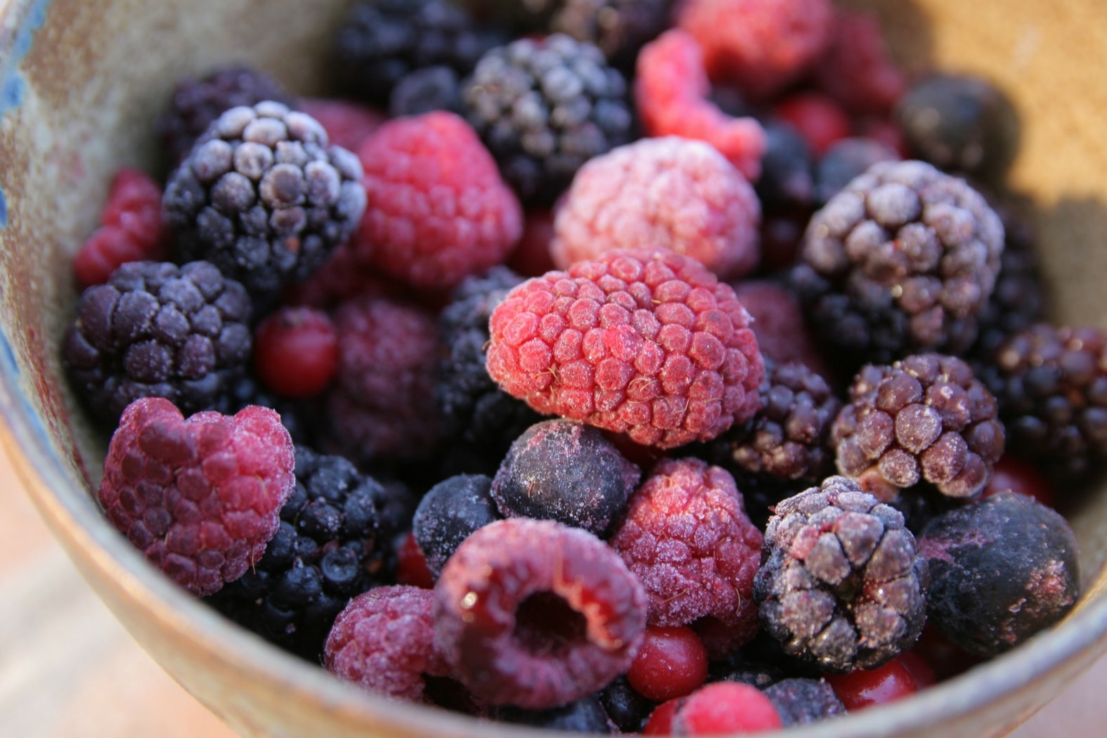 Conserver les fruits récoltés au jardin : méthodes et conseils