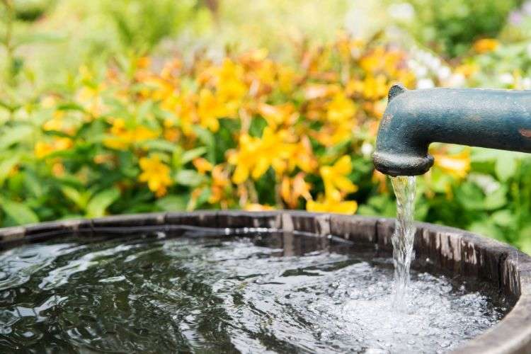 Comment bien arroser le potager en été ? Nos conseils