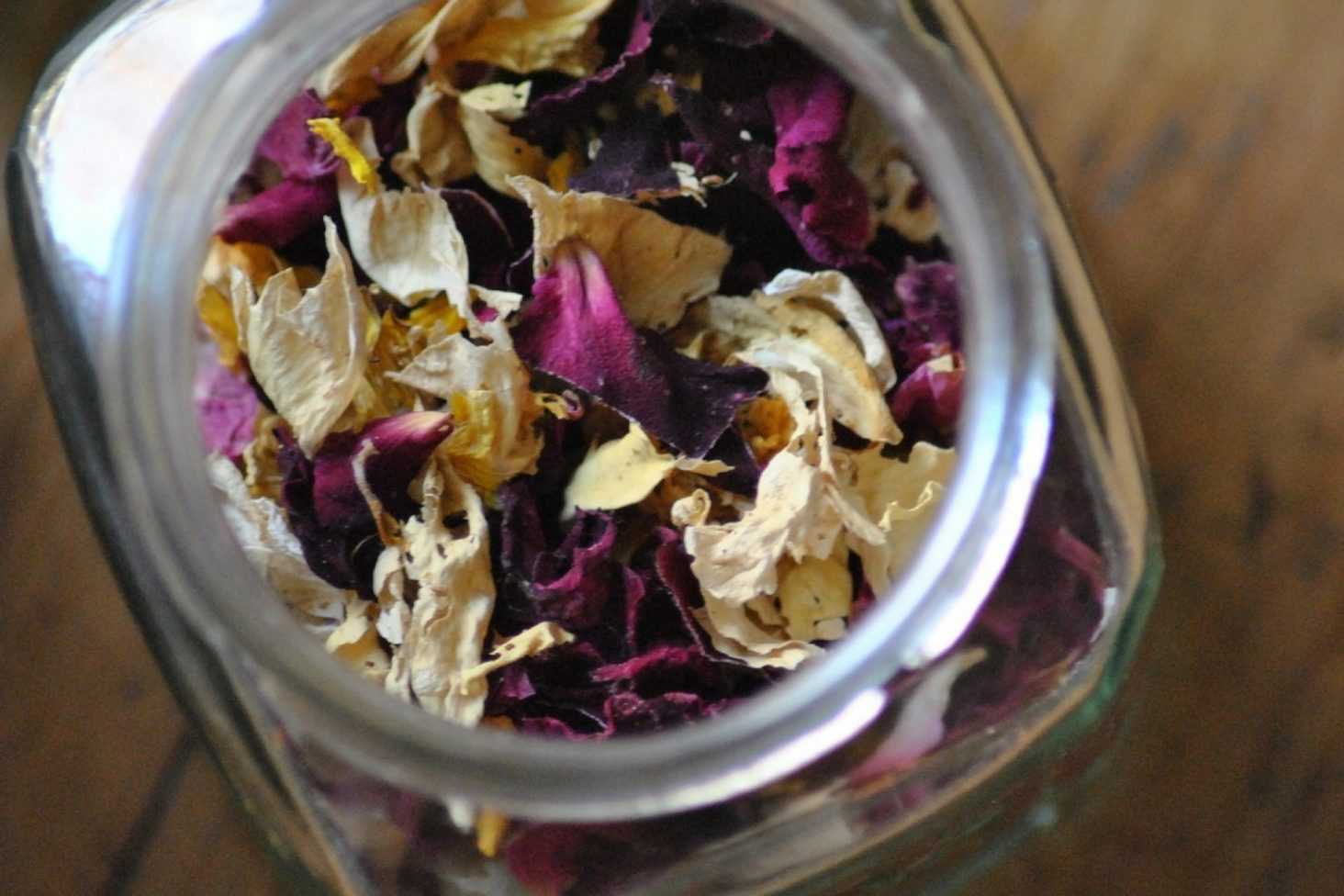 18 fleurs comestibles à découvrir et à cultiver au jardin