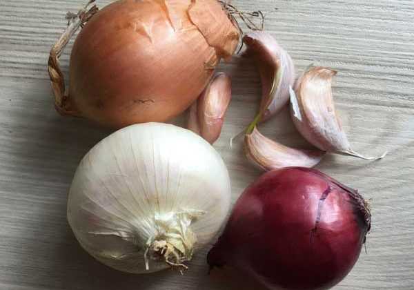 Planter l'ail, l'échalote et l'oignon - Promesse de Fleurs