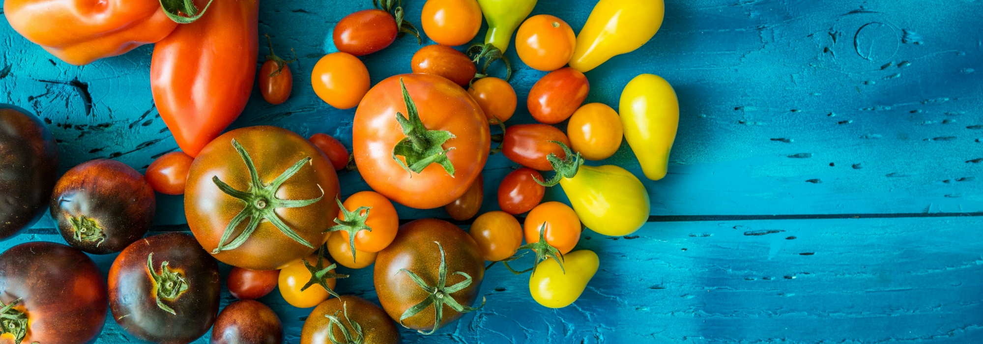 Plants de légumes greffés : quels avantages au potager