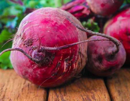 Betterave : semis, plantation, culture et récolte au potager