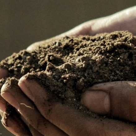 Terreau : tout savoir pour bien le choisir - Nos conseils