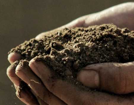 Terreau : tout savoir pour bien le choisir - Nos conseils