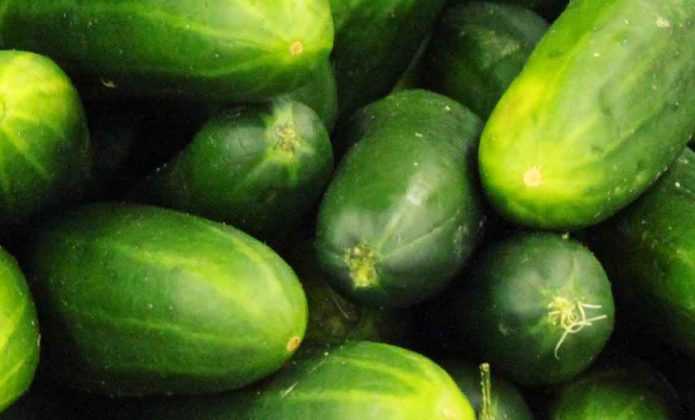 Cucamelon ou Concombre Melon - Graines de Melothria scabra