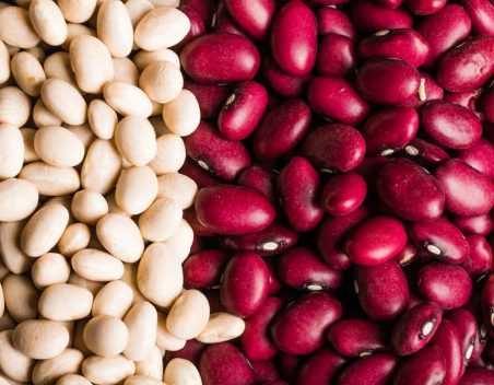 Haricot à rames à cosses violettes, sans fil - Graines potagères