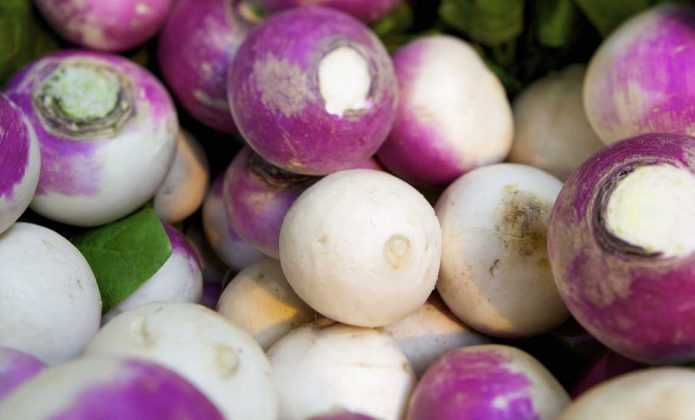 Comment choisir des navets ? - Promesse de Fleurs