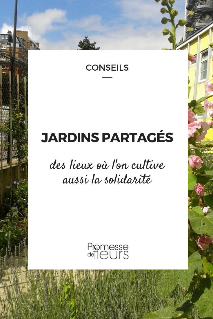 Jardins partagés : des lieux où l'on cultive aussi la solidarité - Blog ...