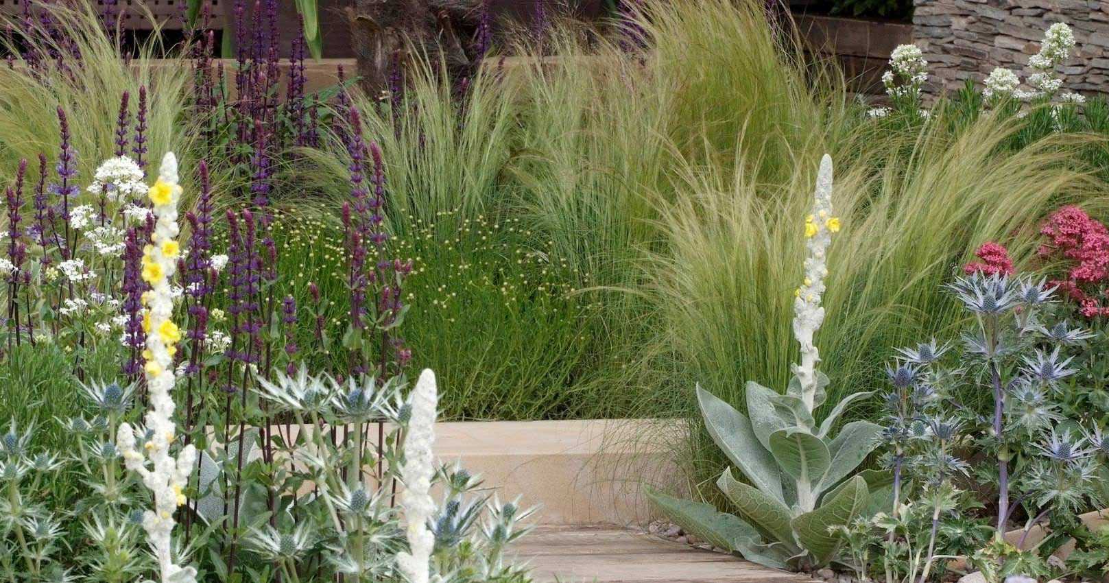 Jardiner en sol sec ou filtrant : tous nos conseils