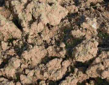 Déterminer la texture de son sol : argileux, sableux, limoneux