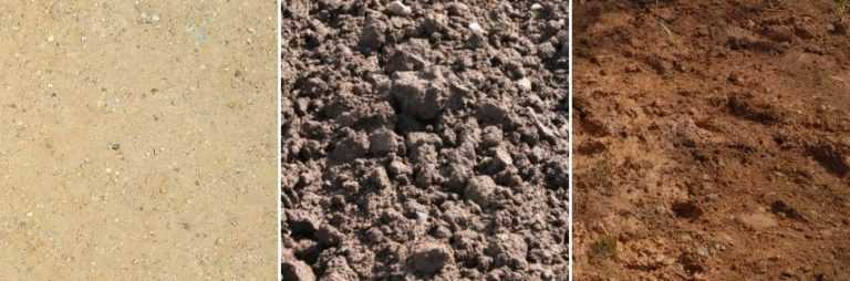 Déterminer la texture de son sol : argileux, sableux, limoneux