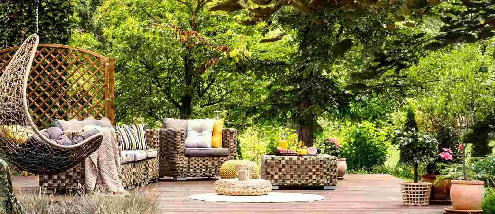 Quels arbres ne pas planter près d'une terrasse