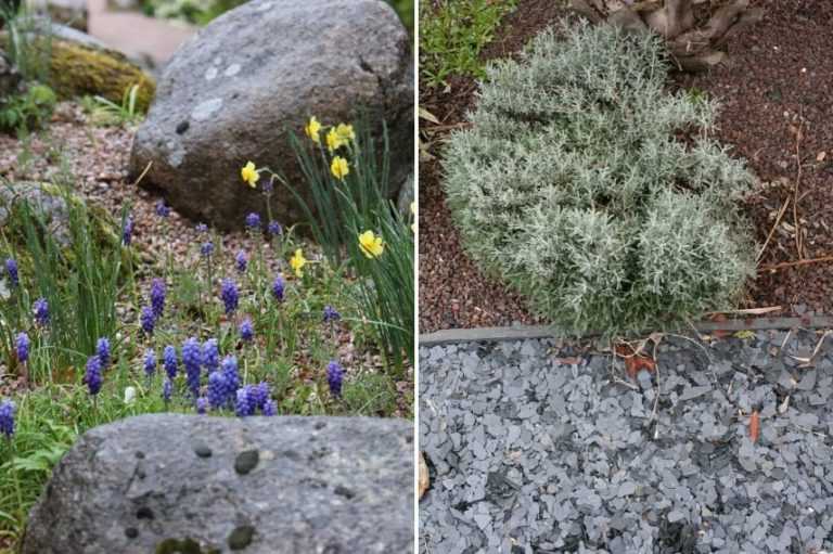 Quel paillage pour un talus ou un massif en pente ? - Promesse de Fleurs Quel paillage pour un talus ou un massif en pente ? - Promesse de Fleurs