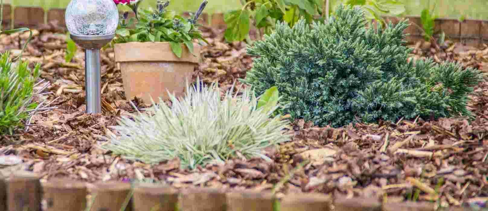 Talus, massif en pente : quel paillage utiliser ?- Blog Promesse de fleurs Talus, massif en pente : quel paillage utiliser ?- Blog Promesse de fleurs