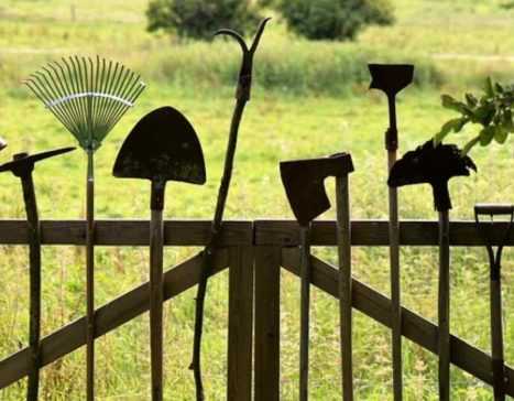 8 outils indispensables pour le potager - Promesse de Fleurs