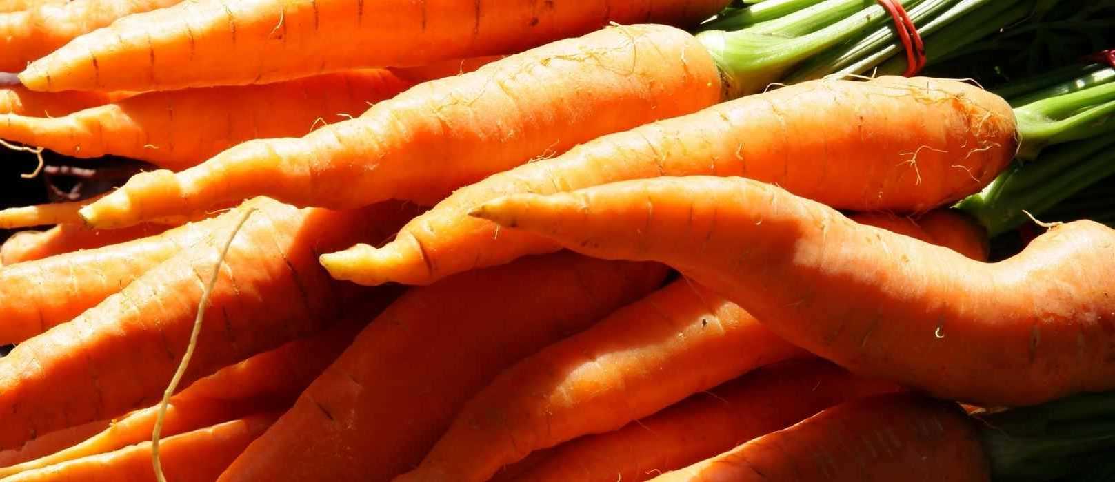 8 légumes primeurs - Promesse de Fleurs