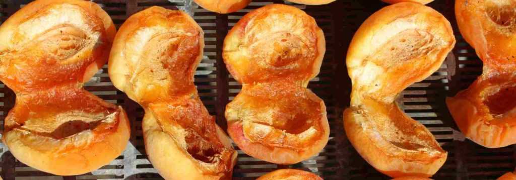 Comment faire sécher des abricots ? - Promesse de Fleurs