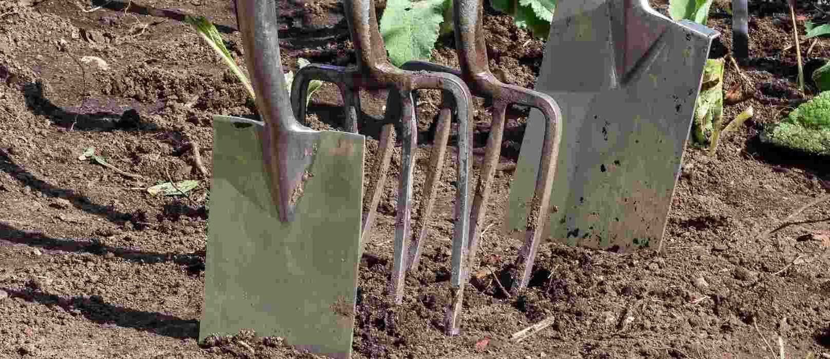 A quoi sert une bêche ? - Blog Promesse de fleurs