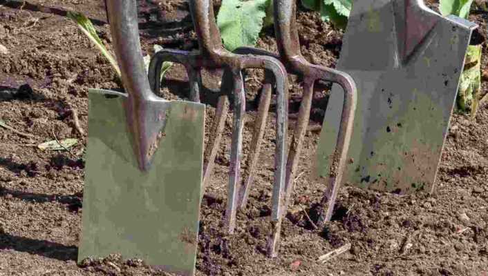 A quoi sert une bêche ? - Blog Promesse de fleurs