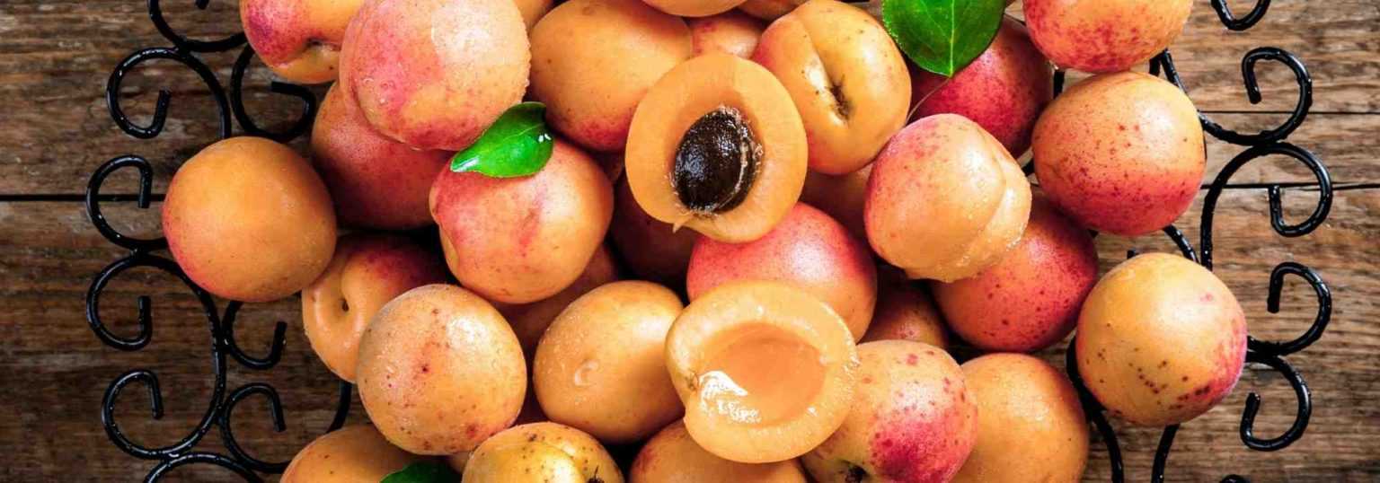 Comment faire sécher des abricots ? - Promesse de Fleurs
