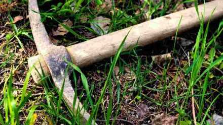 A quoi sert une pioche ? - Promesse de Fleurs