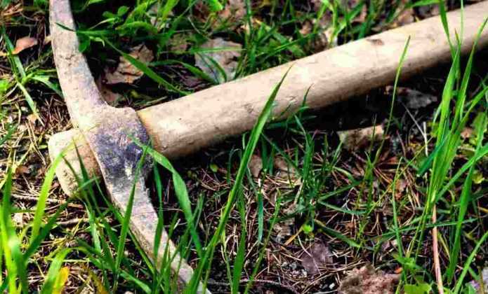 Outils de jardinage : 10 indispensables pour bien débuter