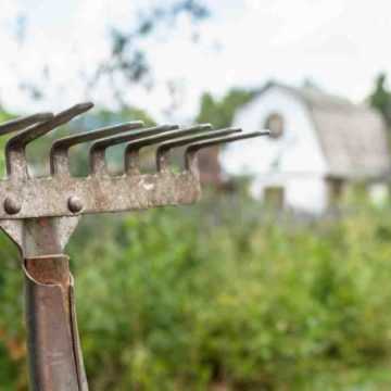 A quoi sert un râteau ? - Promesse de Fleurs