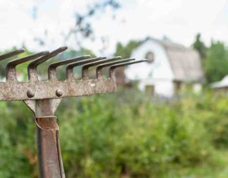 A quoi sert un râteau ? - Promesse de Fleurs