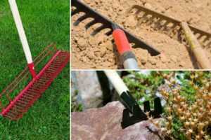 A quoi sert un râteau ? - Promesse de Fleurs