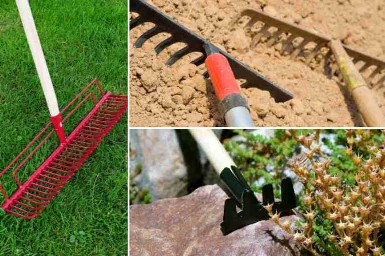 A quoi sert un râteau ? - Promesse de Fleurs