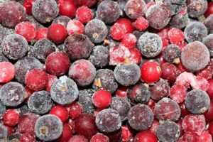 Bien choisir son groseillier : guide d’achat - Promesse de Fleurs