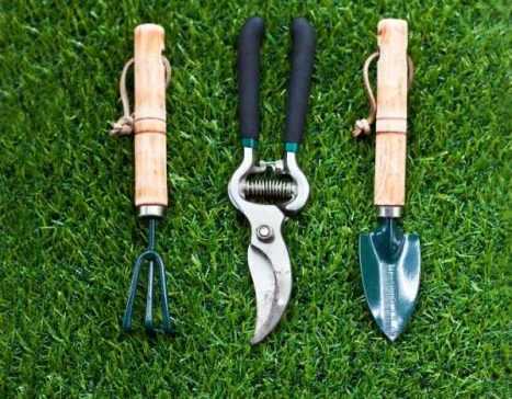 Conseils Jardinage - Fiches pratiques, trucs et astuces