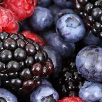 5 petits fruits rouges faciles à cultiver au jardin - Promesse de Fleurs