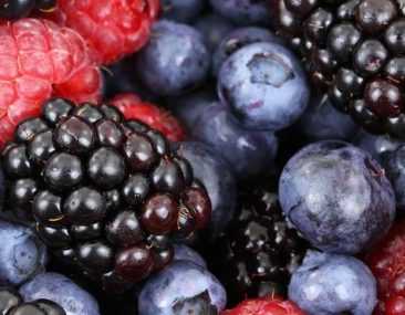 5 petits fruits rouges faciles à cultiver au jardin - Promesse de Fleurs