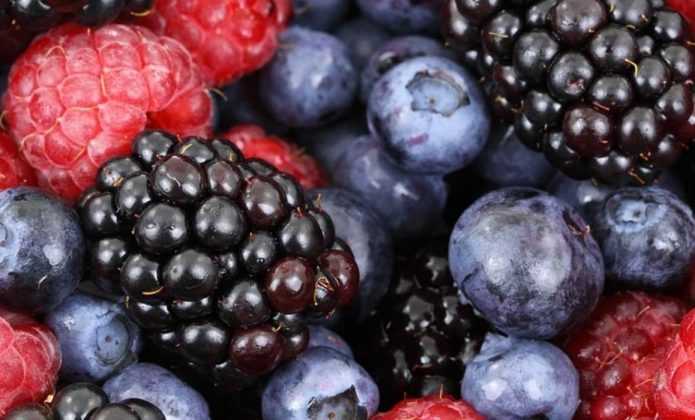 5 petits fruits rouges faciles à cultiver au jardin - Promesse de Fleurs