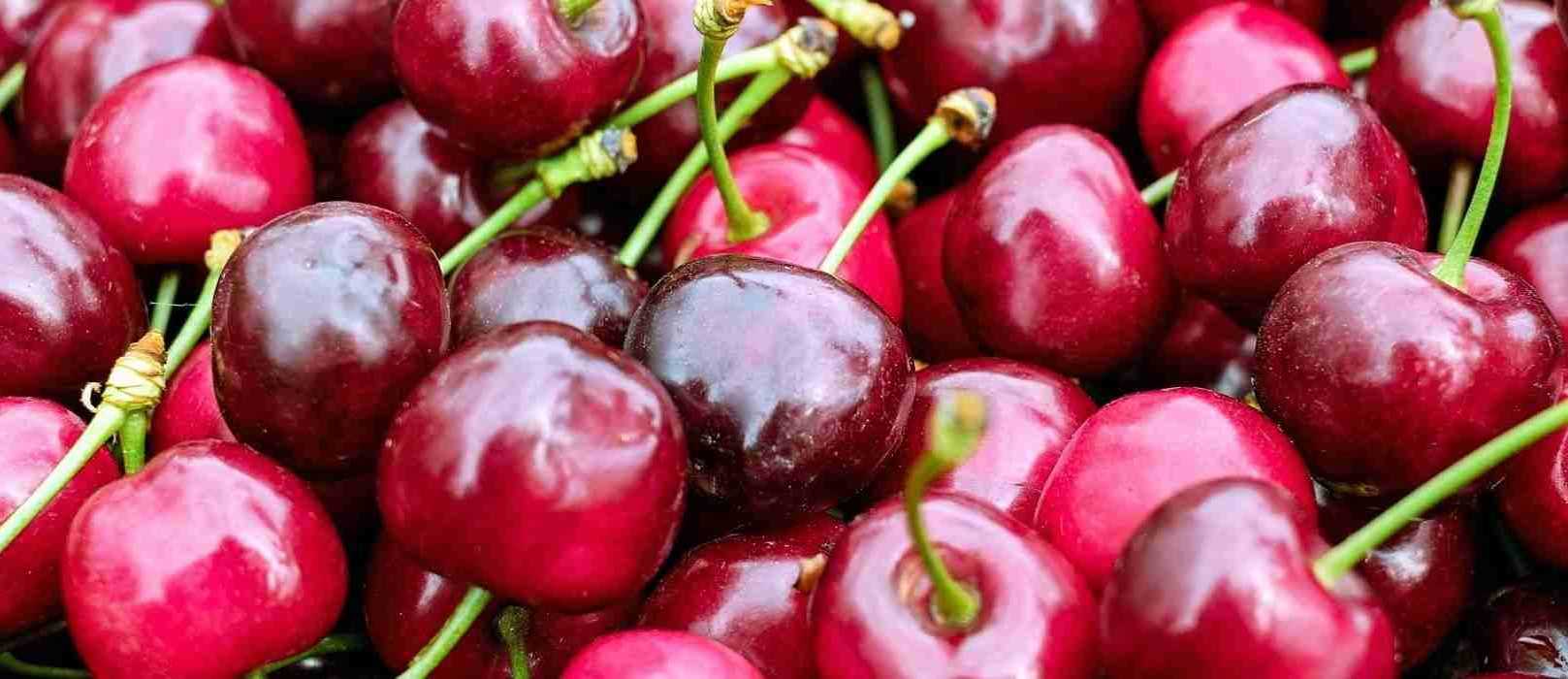 Comment faire des cerises séchées ? - Promesse de Fleurs