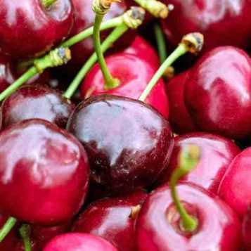 Comment faire des cerises séchées ? - Promesse de Fleurs