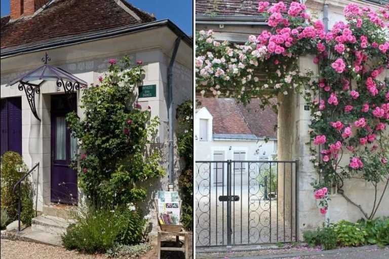 Fleurir une entrée avec des plantes grimpantes - Promesse de Fleurs
