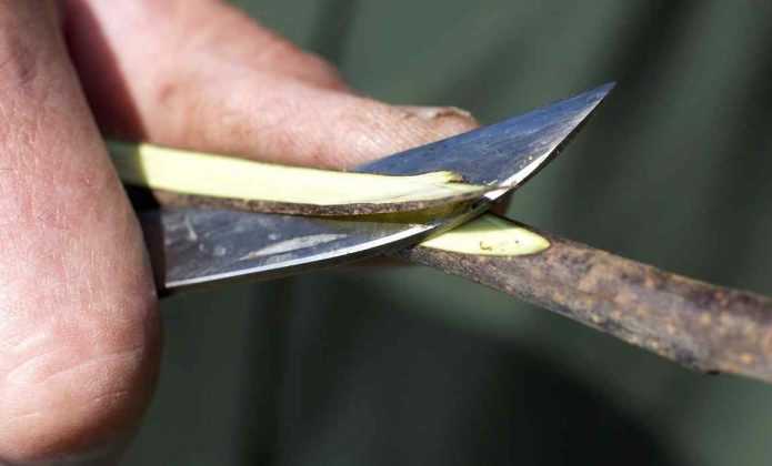 A quoi sert un greffoir ou couteau à greffer ? - Promesse de Fleurs