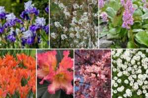 Les 4 saisons au jardin : comment aménager