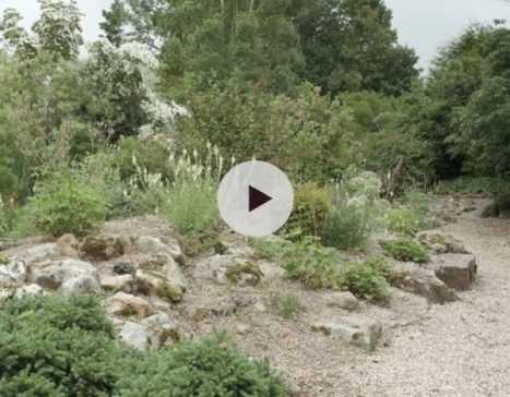 Rocaille - Conseils jardinage