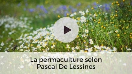 Blog Promesse de fleurs - Le blog sur les plantes de Promesse de fleurs