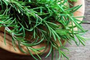 Conserver le romarin - Promesse de Fleurs