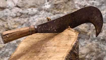 A quoi sert une serpe ? - Promesse de Fleurs