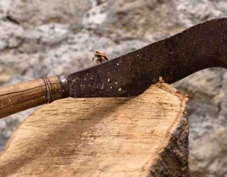 A quoi sert une serpe ? - Promesse de Fleurs