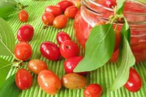 Cultiver le cornouiller mâle pour ses fruits - Promesse de Fleurs
