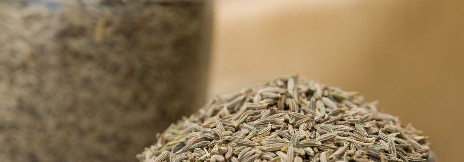 Cumin : semer, cultiver et récolter - Promesse de Fleurs